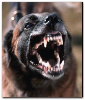 NECOCHEA: Recomendación de la Dirección de Defensa Civil. Prevención ...